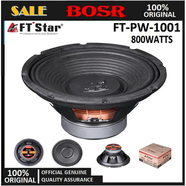 NEW FT Star FT-PW-1001 10 INCHES SPEAKER INSTRUMENTAL 800 WATTS ...
