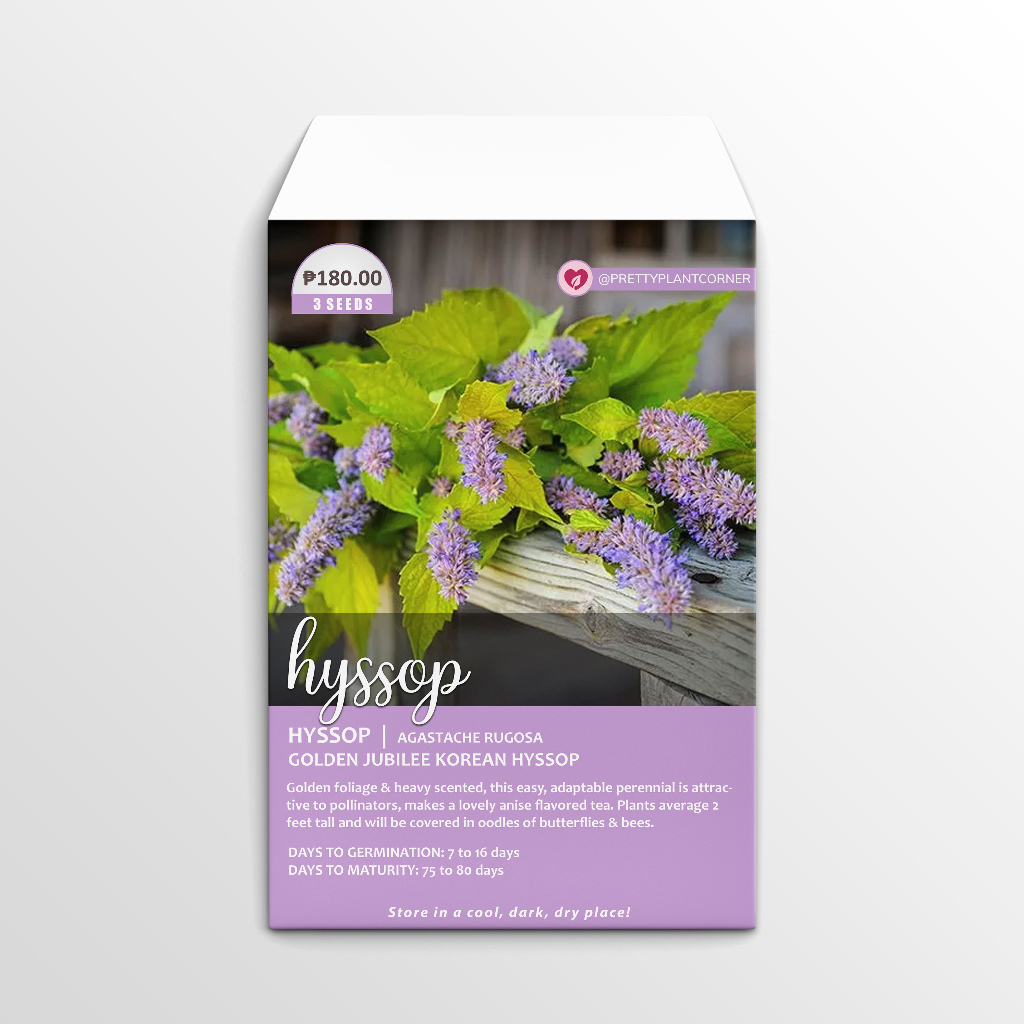 Golden Jubilee Agastache Korean Hyssop Herb Seeds | Shopee Philippines