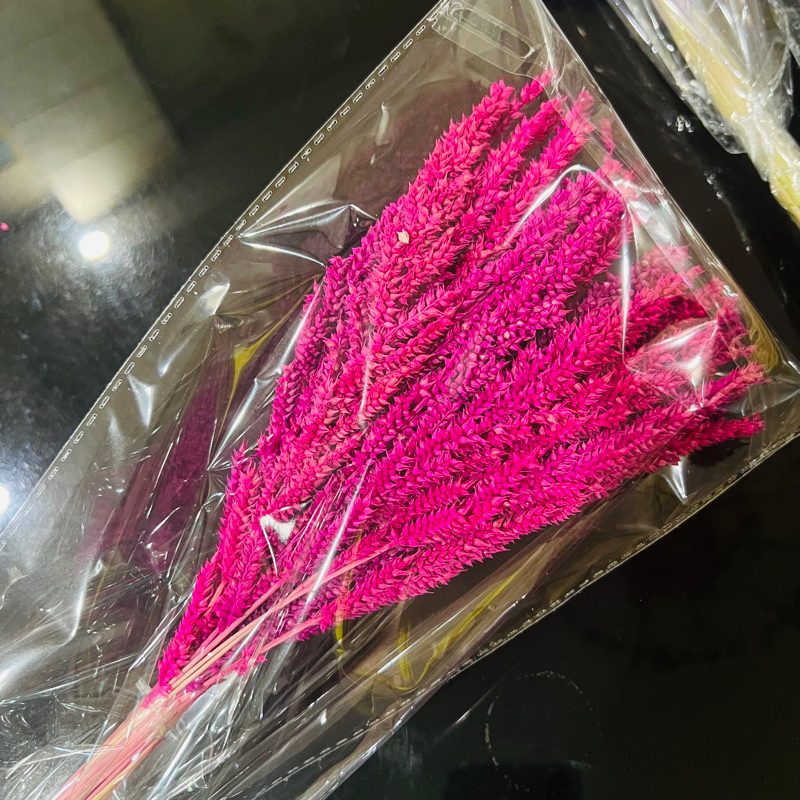 Dried Trigo Grass(LOCAL) | Shopee Philippines