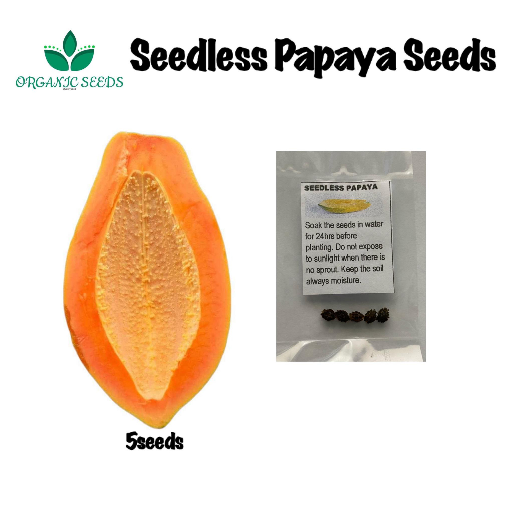 Seedless Papaya Seeds 5pcs Seeds Shopee Philippines