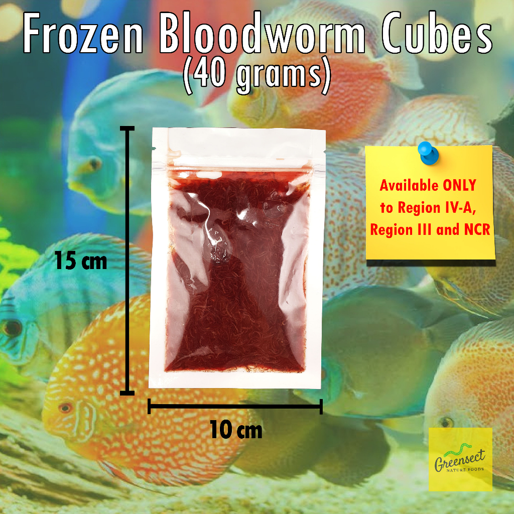 FROZEN BLOODWORM CUBES (WHOLESALE) fish food pet food | Shopee Philippines