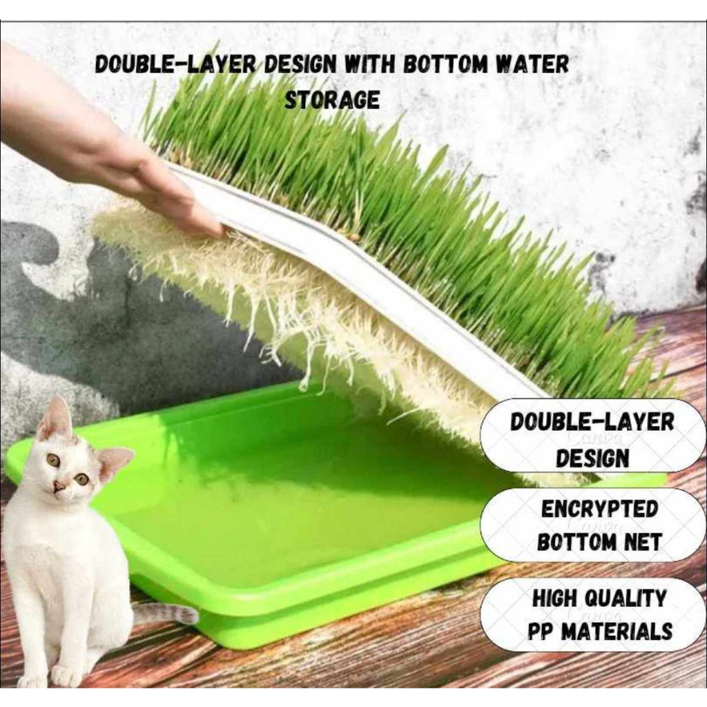 cat grass plate planting method | Shopee Philippines