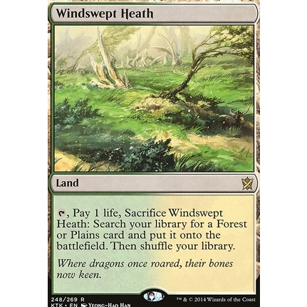 Windswept Heath - Khans of Tarkir (KTK) | Shopee Philippines