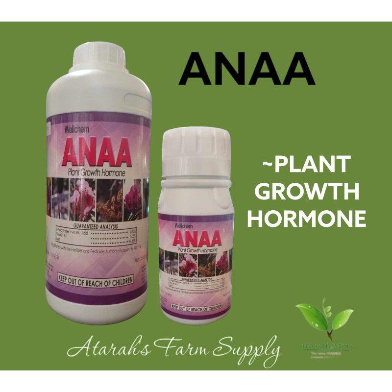 ANAA 120ML & 250ML Plant Growth Hormone (Pampaugat ng Halaman) | Shopee ...