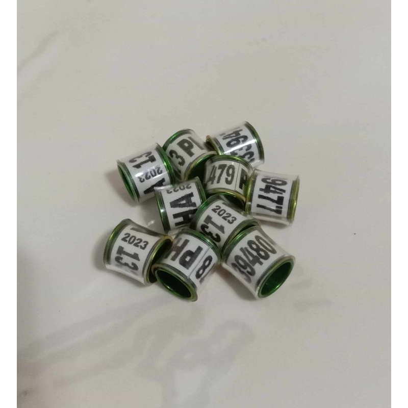 PIGEON RING (PERSONALIZED) | Shopee Philippines