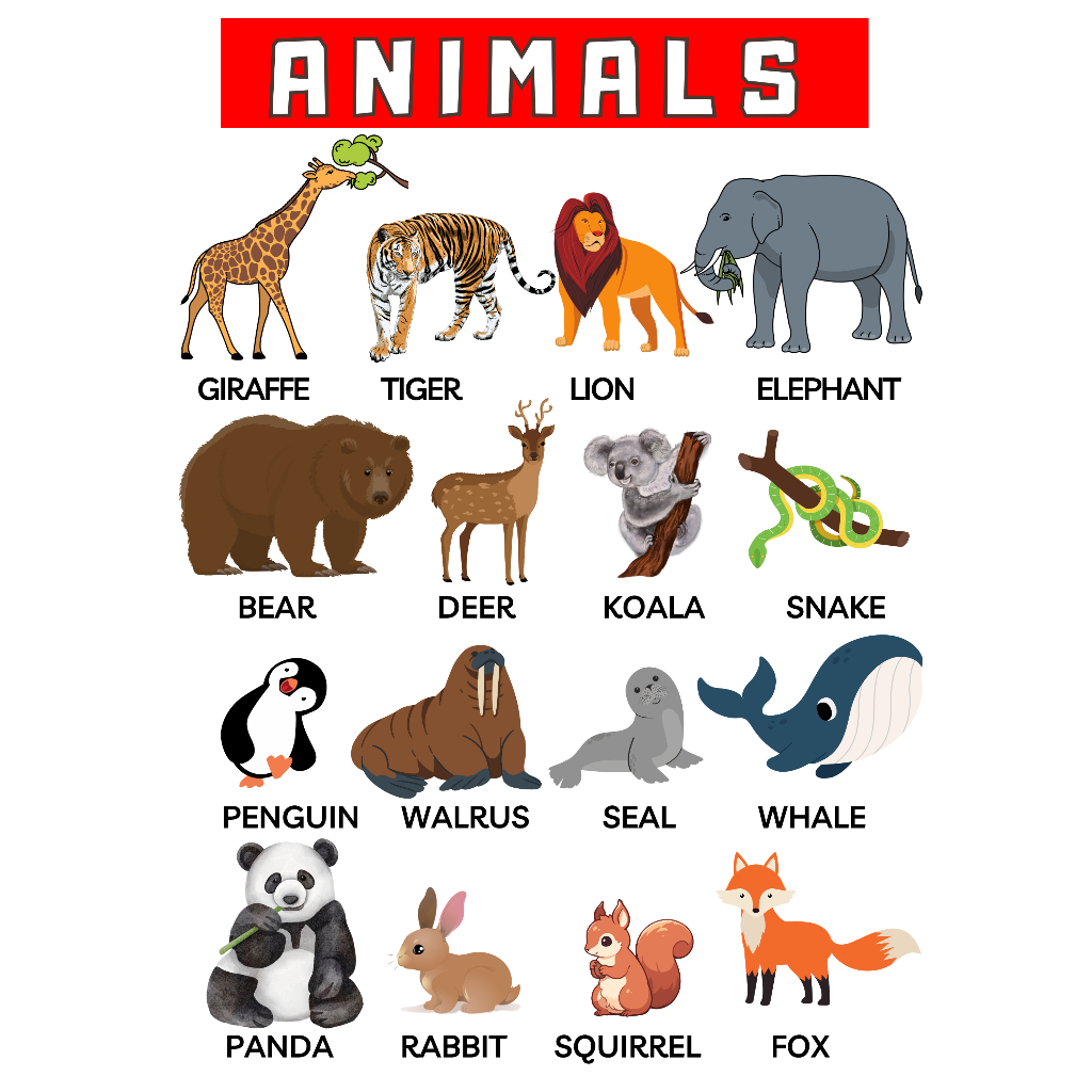 Animals Educational Laminated Chart A4 Size | Shopee Philippines