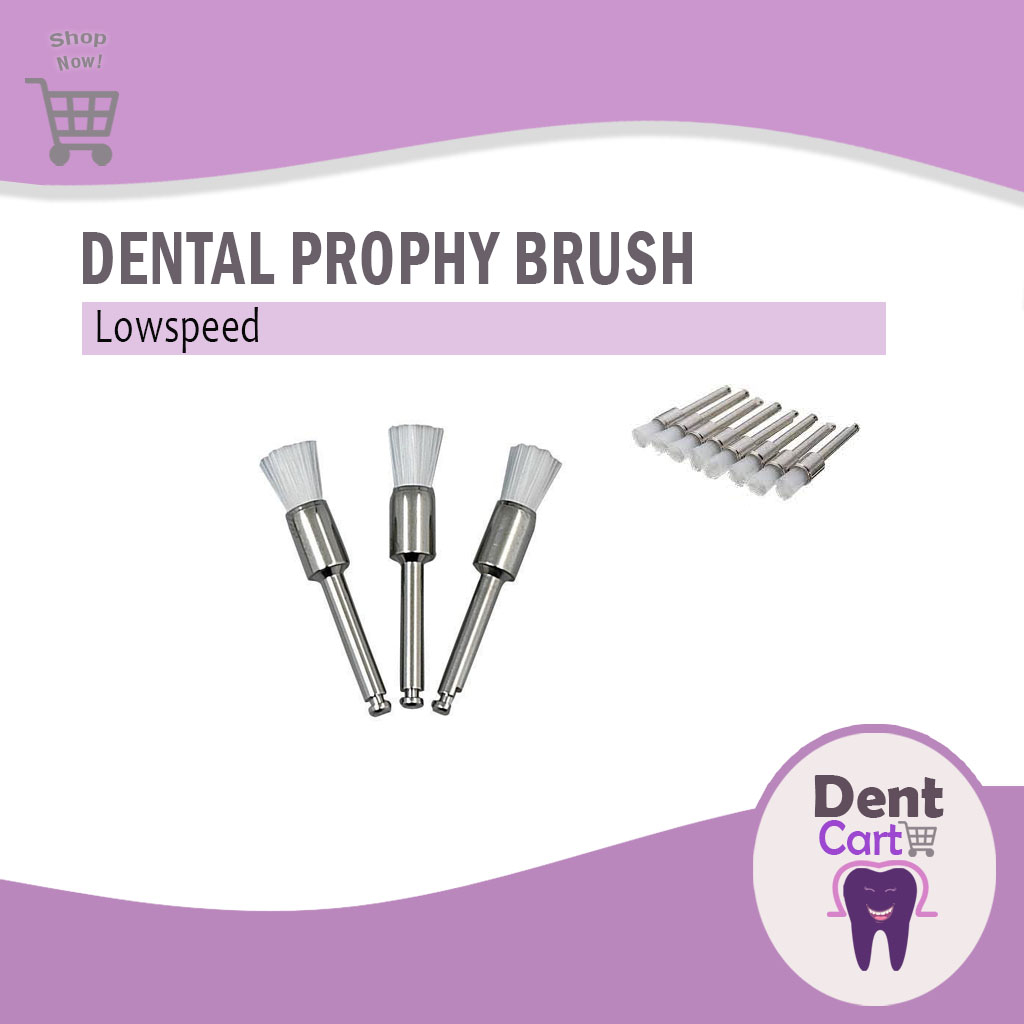 Prophy brush (25s, 50s) | Shopee Philippines