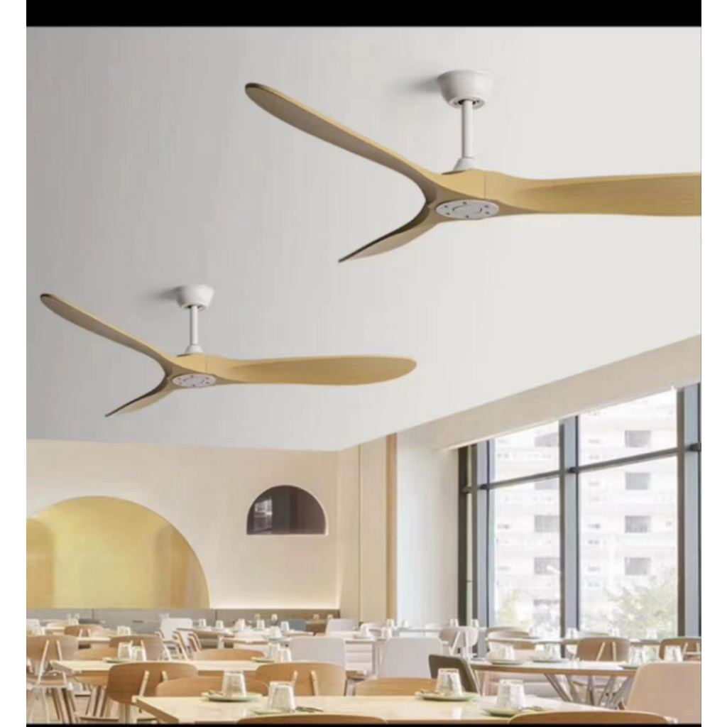 CHNT Ceiling Fan With Light Remote 6 Speeds Smart Timing DC Motor for ...