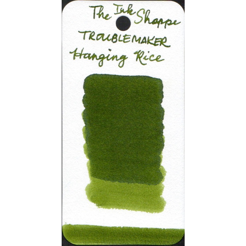 Troublemaker Ink Fountain Pen Ink Sample (3mL) | Shopee Philippines