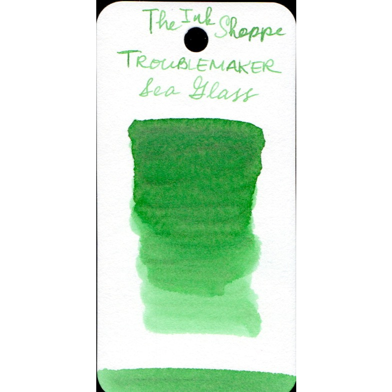 Troublemaker Ink Fountain Pen Ink Sample (3mL) | Shopee Philippines