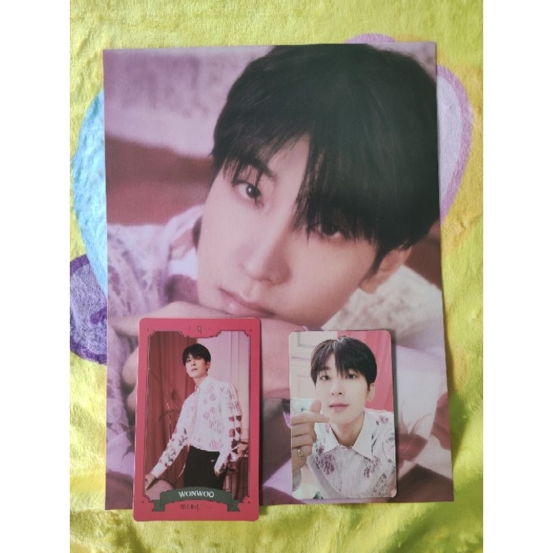 [ONHAND & OFFICIAL] SVT SG 2023 : Photocard + Fortune card + Mini ...