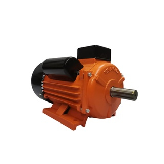 TESLAPOWER TCM-200C Heavy Duty Single Phase Electric Motor 2HP (100% ...