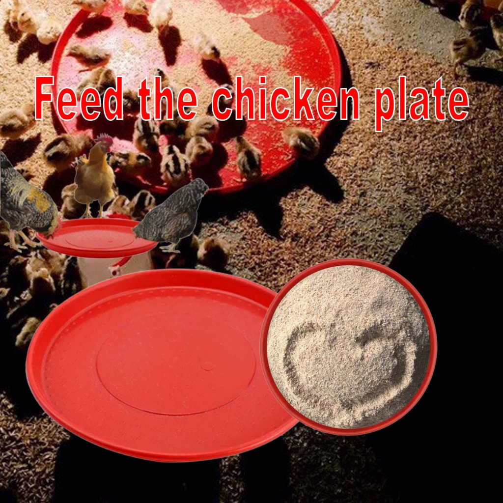 Thickened Chicks Use Open Plate Chicks To Eat Plate Mat Round Plate ...