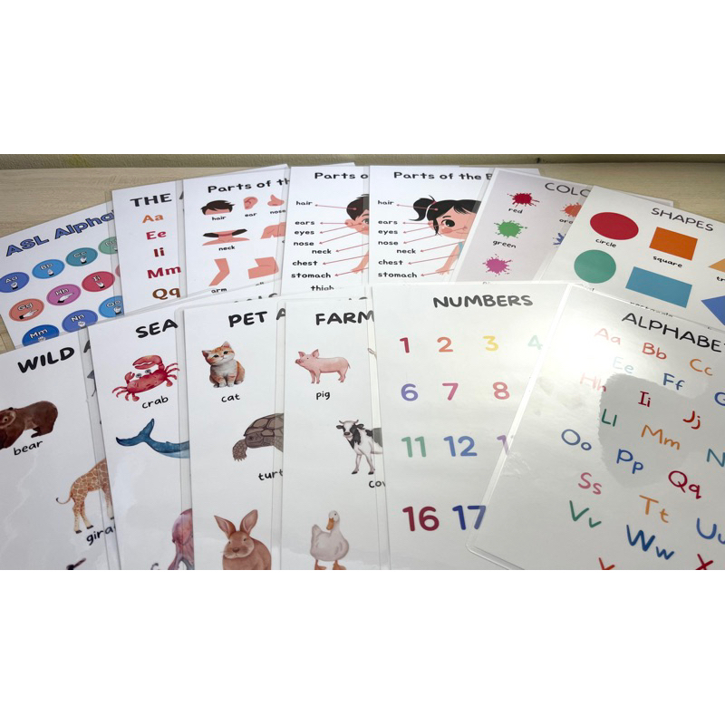 Educational Chart Laminated A5/A4 Size Alphabet Numbers Shapes Body ...