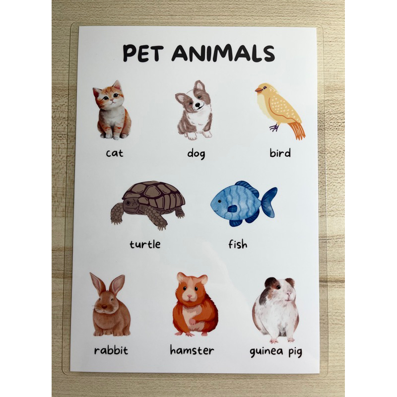 Educational Chart Laminated A5/A4 Size Alphabet Numbers Shapes Body ...