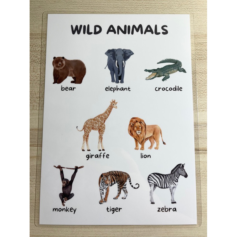 Educational Chart Laminated A5/A4 Size Alphabet Numbers Shapes Body ...