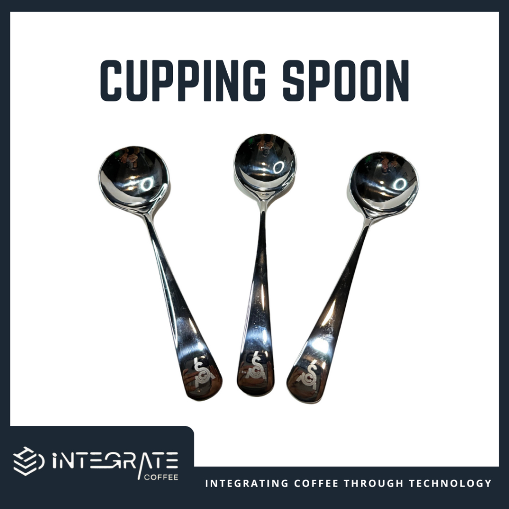 Cupping Spoon for Professional Coffee Cupping | Stainless Steel High ...