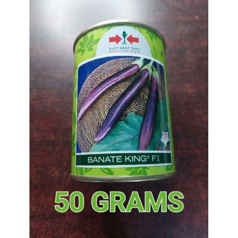 Banate King F1 (50 grams) Hybrid Eggplant Seeds / Talong Seeds by East ...