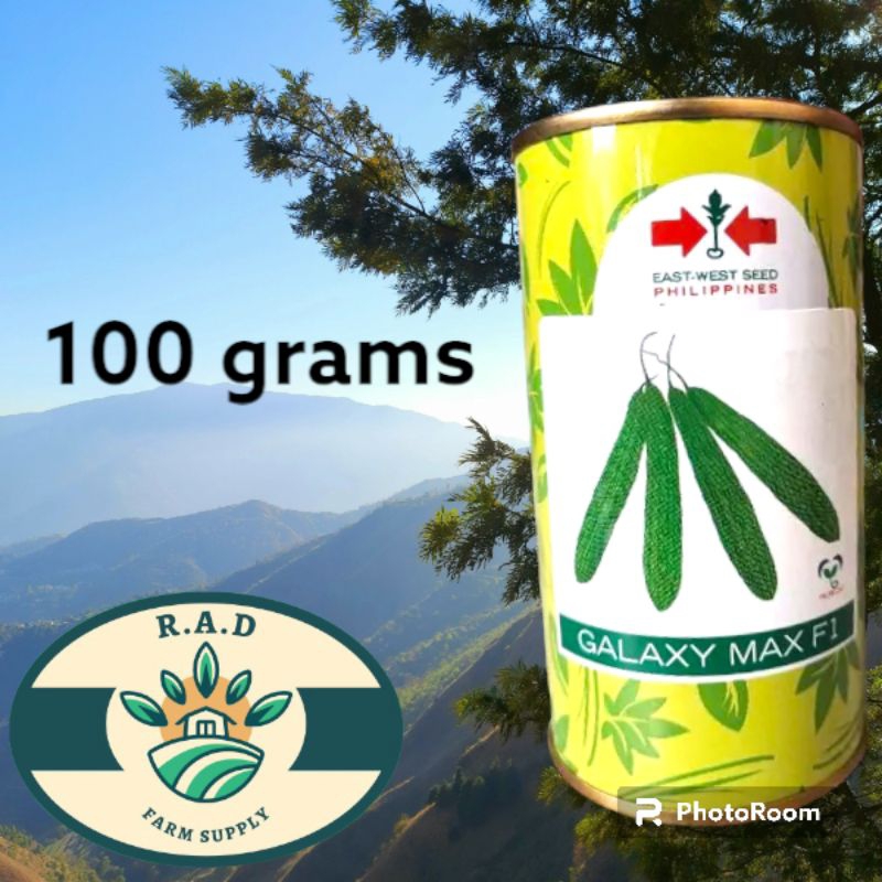 GALAXY MAX F1 (100 GRAMS) | Shopee Philippines