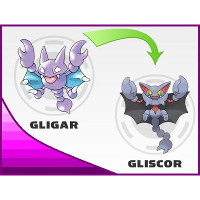 Gligar & Gliscor ( Fly Scorpion & Fang Scorpion) Pokemon Cards TCG ...