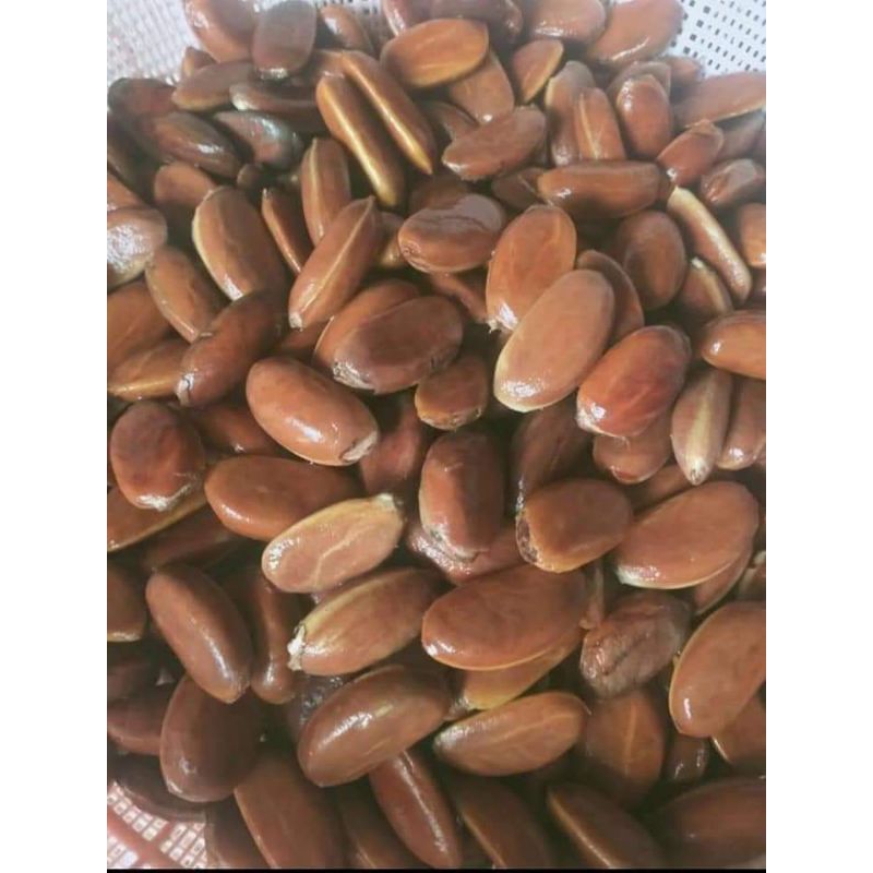 mabolo seeds ( 1 kilo ) | Shopee Philippines