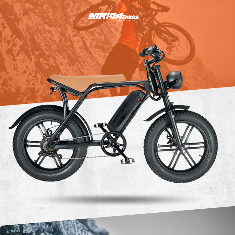 Ricci 8.0 Cafe Racer Type E-Bike 750-1000W 20er | Shopee Philippines