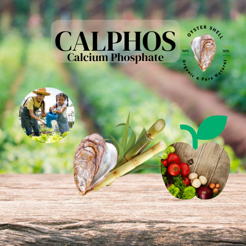 CALPHOS - Calcium Phosphate - Calphos ( Oyster Shell ) | Shopee Philippines