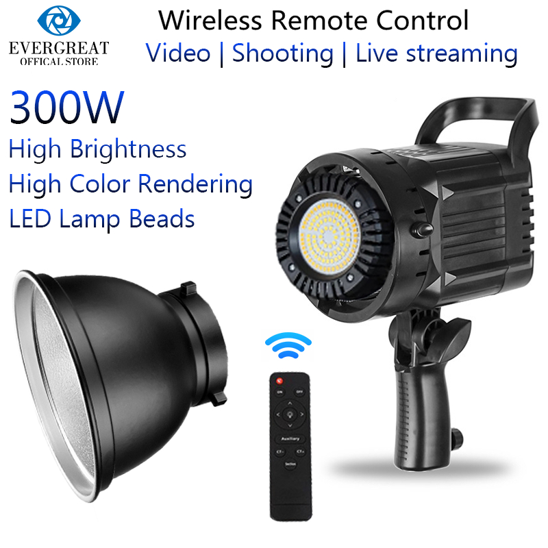 300W Professional Studio Flash Light Strobe Studio lighting for ...