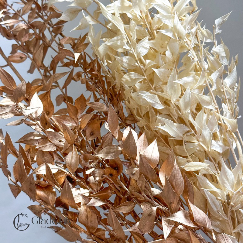 Dried Imported Ruscus Flower | Shopee Philippines