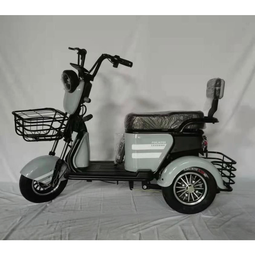 Brand new electric adult bike | Shopee Philippines