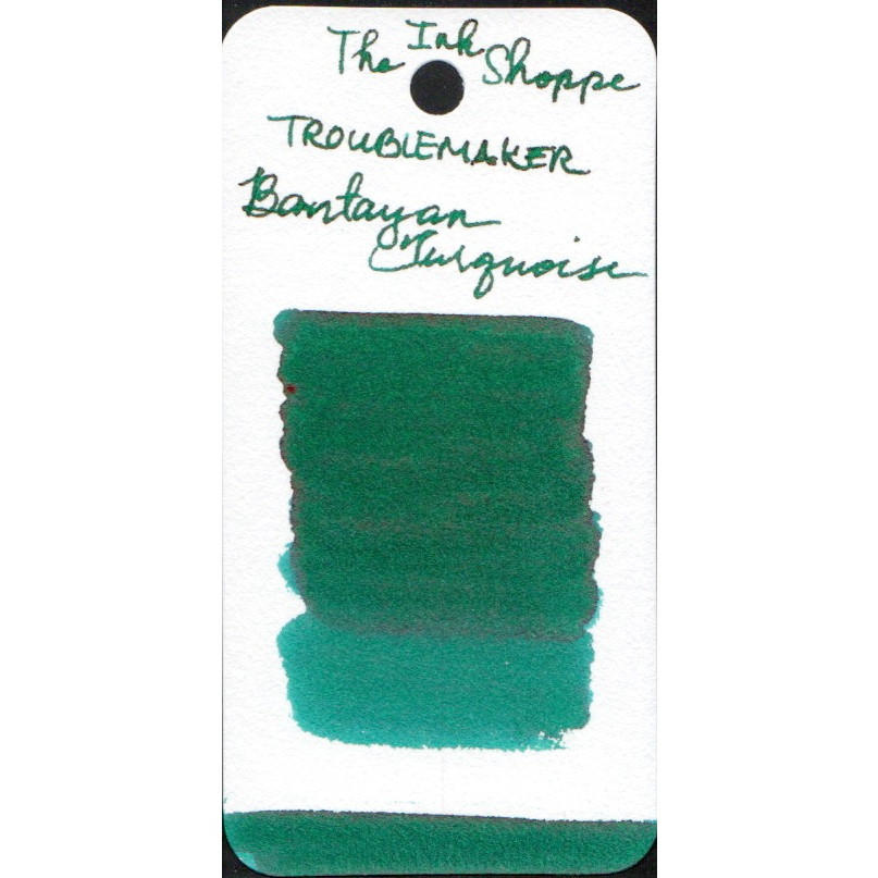 Troublemaker Ink Fountain Pen Ink Sample (3mL) | Shopee Philippines