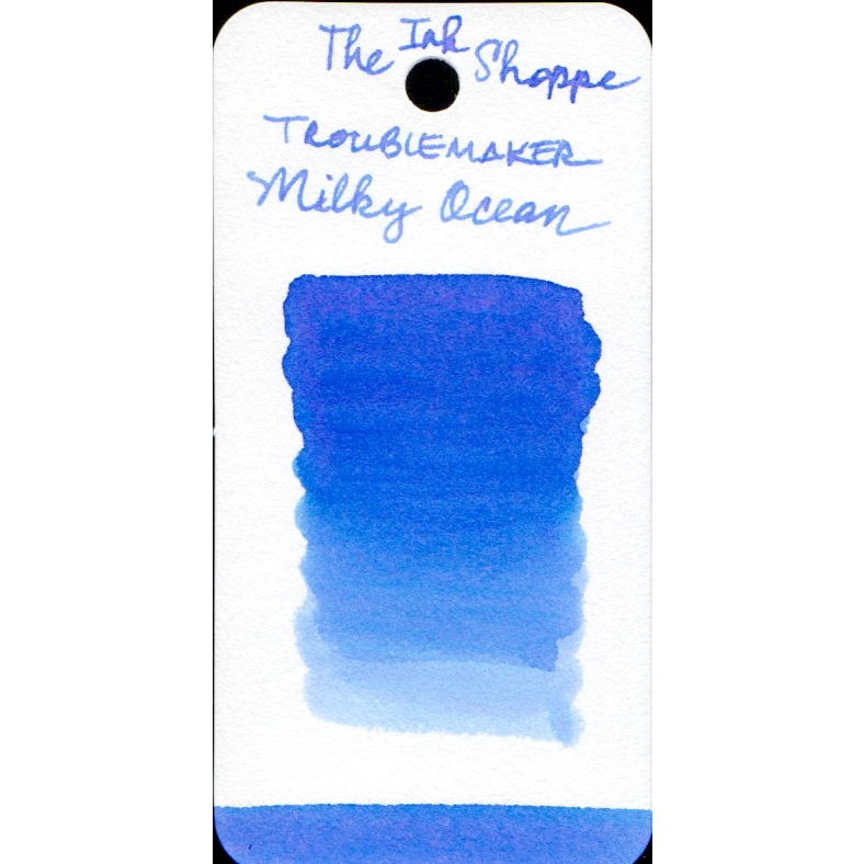 Troublemaker Ink Fountain Pen Ink Sample (3mL) | Shopee Philippines