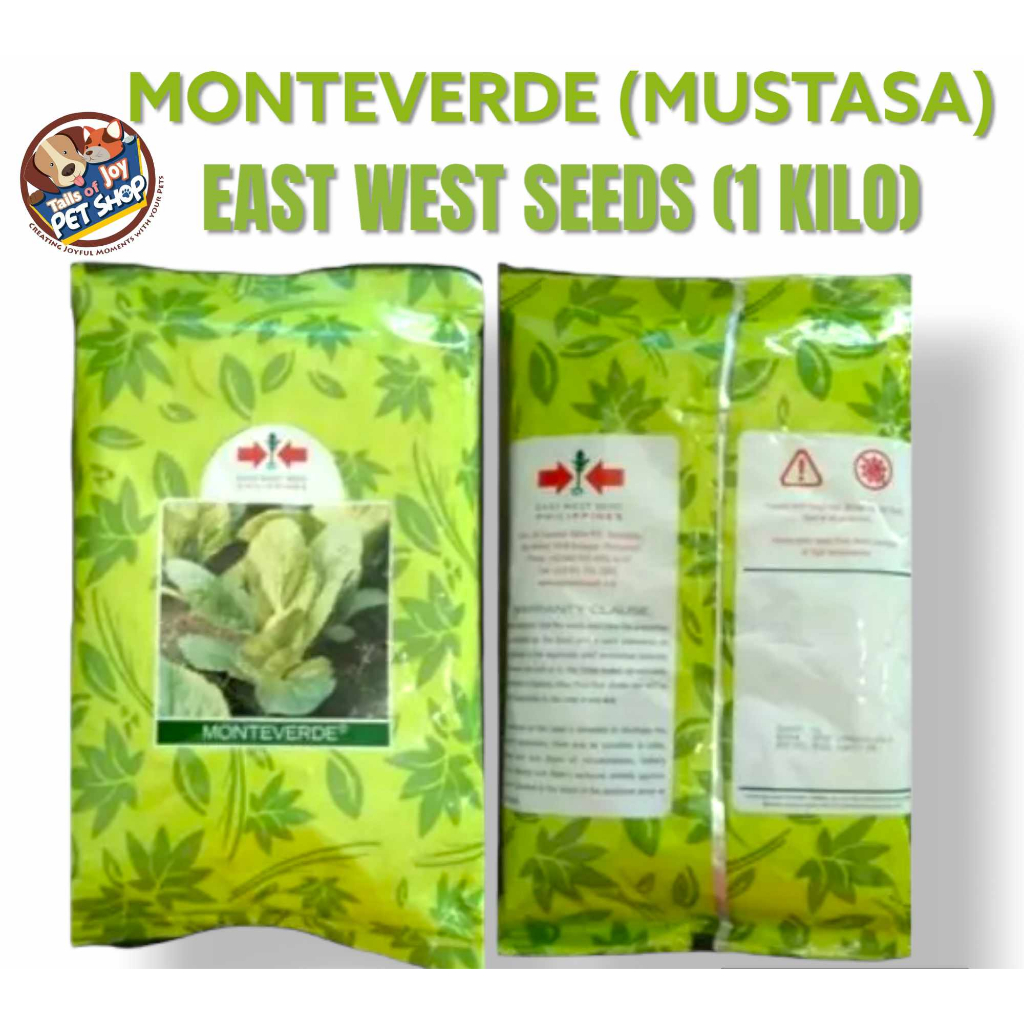 TOJ! MONTEVERDE MUSTASA EAST WEST SEED (1KILO) | Shopee Philippines