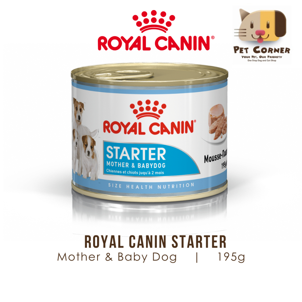 Royal Canin STARTER MOUSSE MOTHER & BABY DOG 195g Wet Food in Can SPT Range BabyDog Puppy ...
