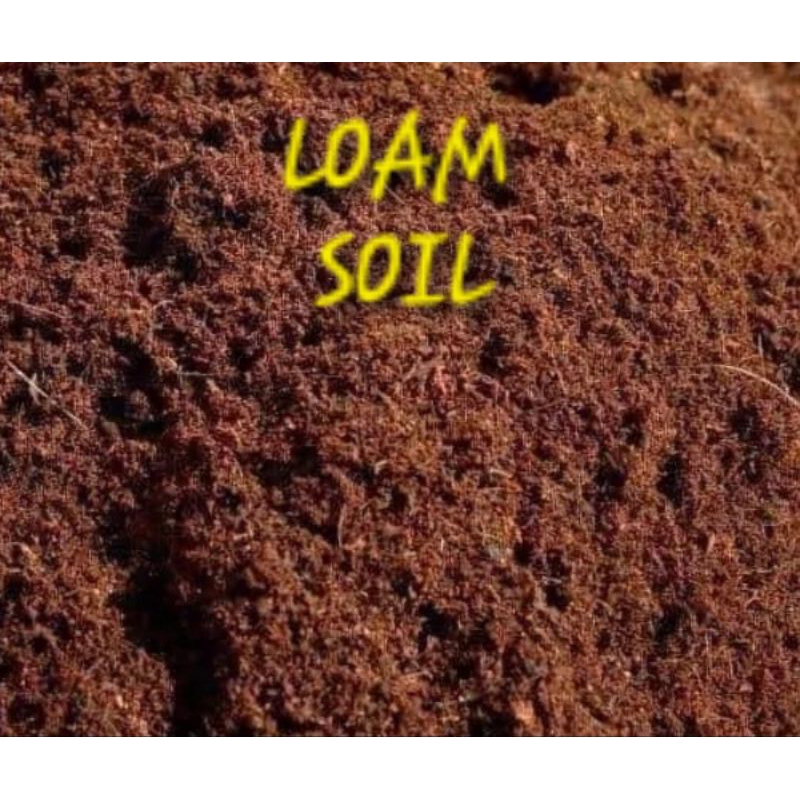 8 kilos LOAM SOIL COMPLETE POTTING MIX V (Loam Soil, Cocopeat, Rice ...