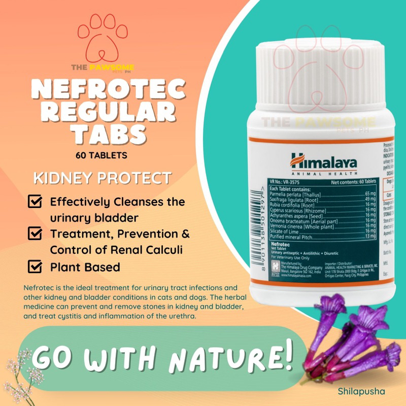 Nefrotec Tablet for Dogs and Cats (Authorized Himalaya Product ...
