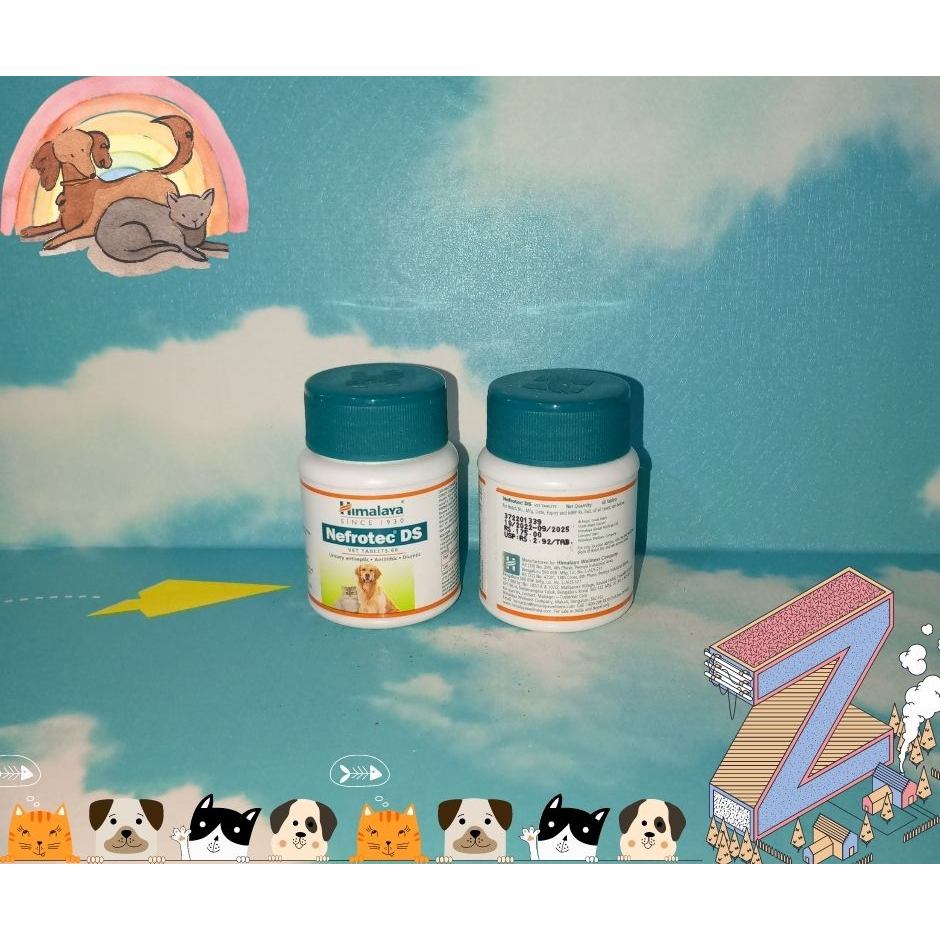 Himalaya Nefrotec DS Kidney Supplement for dogs and cats (60 tablets ...