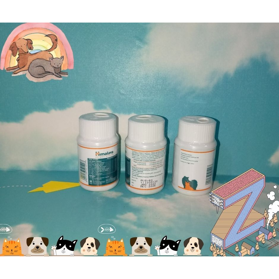 Himalaya Nefrotec Vet Tablet Kidney Supplement for dogs and cats (60 ...