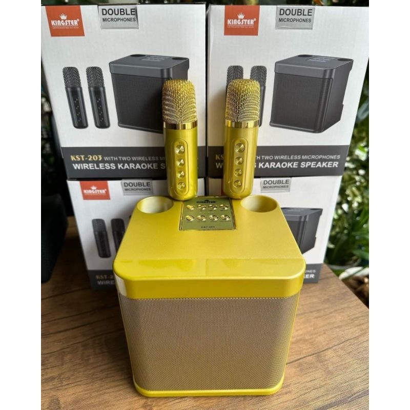 KST-203 Portable BT Speaker Karaoke with 2 Wireless Mic | Shopee ...