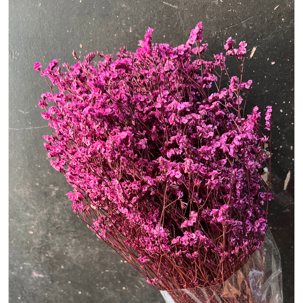 Caspia Real Dried Preserved Flowers | Shopee Philippines