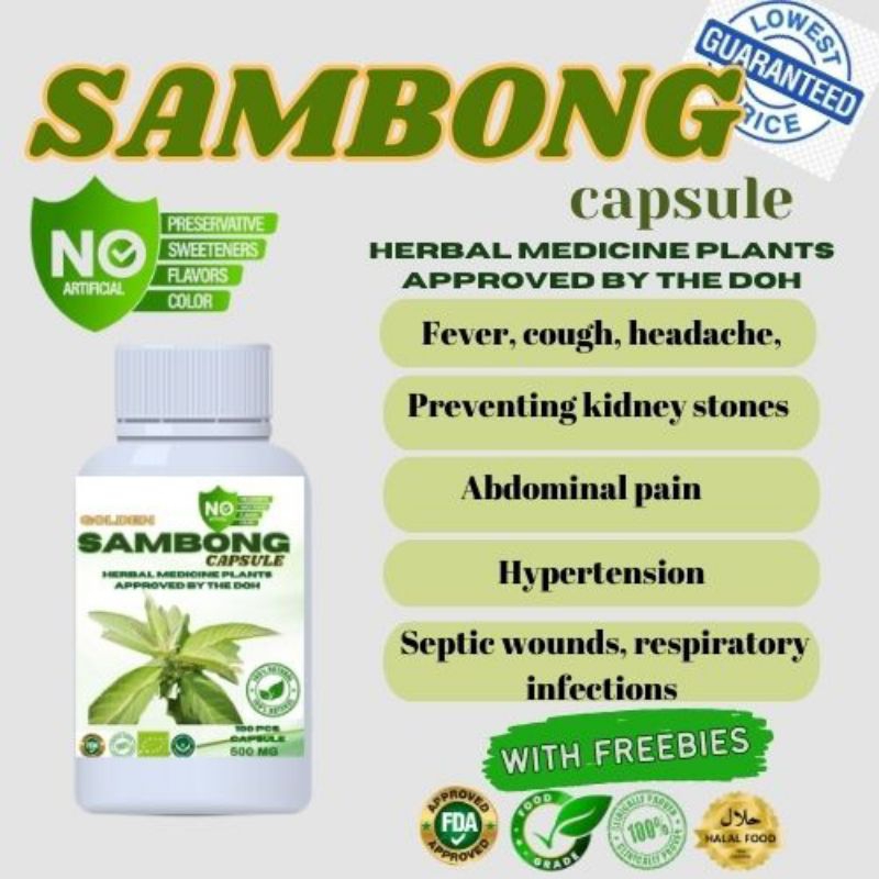 ORIGINAL PURE AND AUTHENTIC SAMBONG CAPSULE 100PCS/500 FREE 10PCS ...