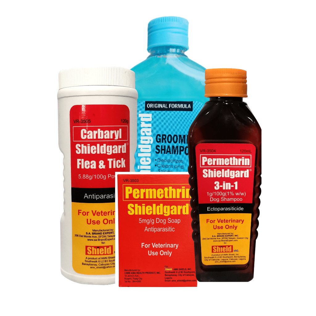 SH BUNDLE POWDERY(GS POWDERY,SOAP,F&T,3 IN 1 120ML) | Shopee Philippines