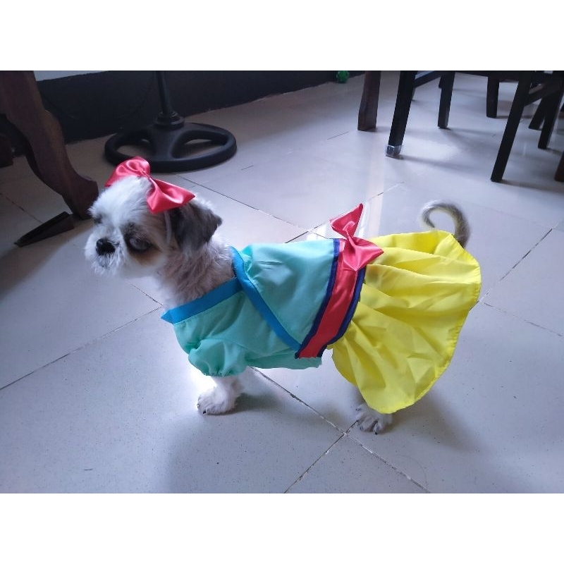 MULAN Disney dress/costume for small dogs (Inspired) | Shopee Philippines