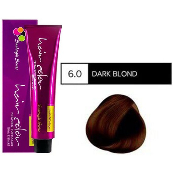 SUNBRIGHT SERIES HAIR COLOR 6.0 DARK BLOND (100ML) | Shopee Philippines