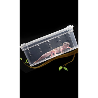 Reptile Breeding Feeding Box Plastic Enclosure Stackable Terrarium ...