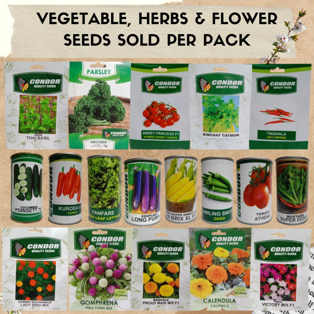 Vegetable Seeds Herb Seeds Flower Seeds Plant seed packs kamatis talong ...