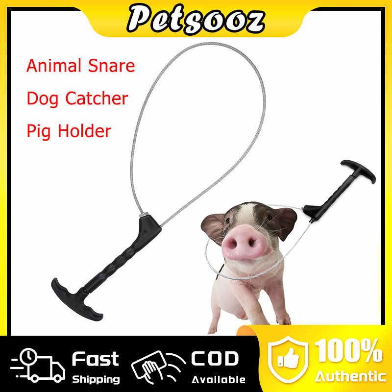 Stainless Steel Pig Holder Catcher Adjustable Hog Pig Squeezer Snare ...