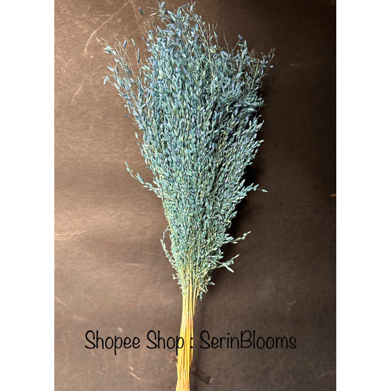 Local Dried Misty Grass sold per bundle | Shopee Philippines