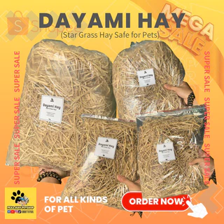 Shop dayami for Sale on Shopee Philippines