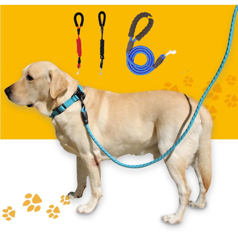 Medium and large dog rope dog rope nylon rope cat rope outdoor pet ...